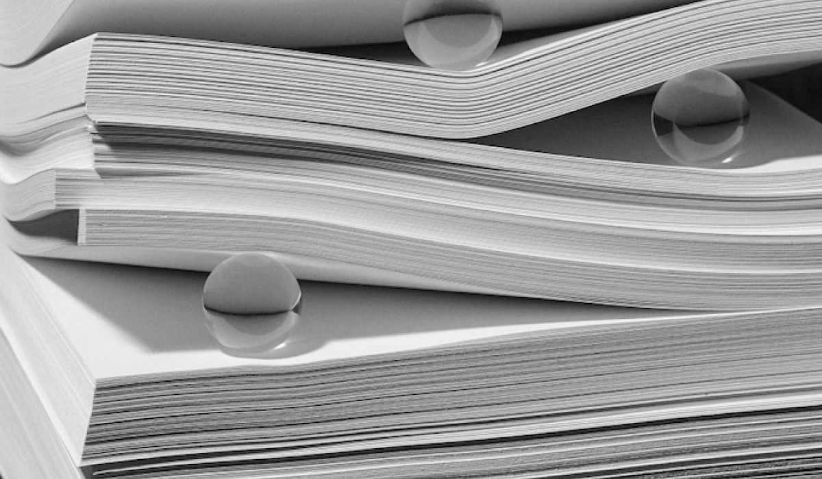 Beyond Google: The future of search marketing - DEPT®